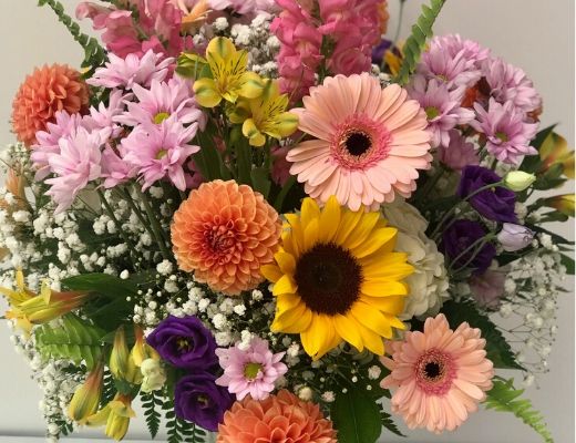 Van Belle’s Florist Durham Region, Plants, Garden Centre